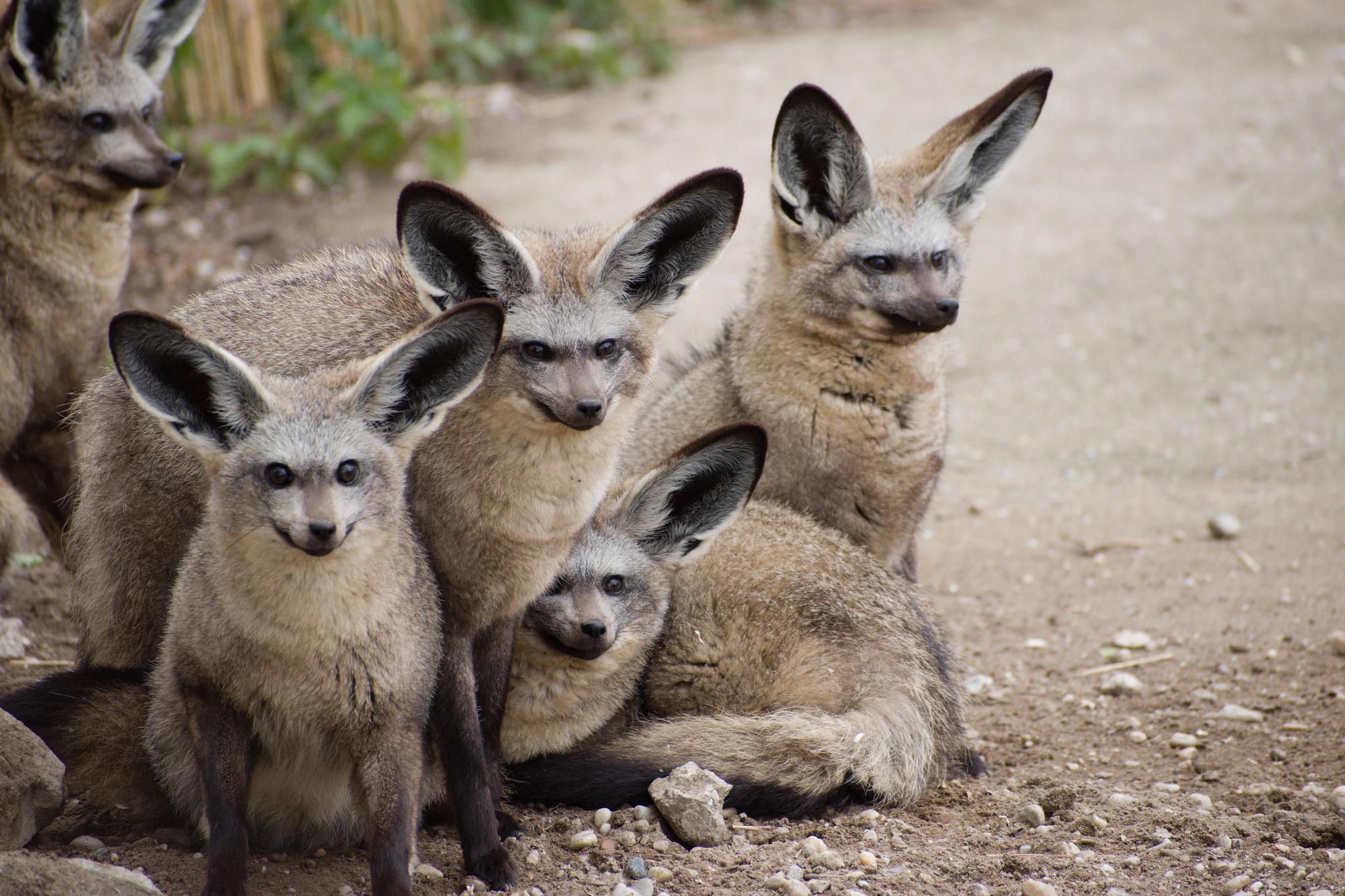 ZOO – Mesto Bratislava